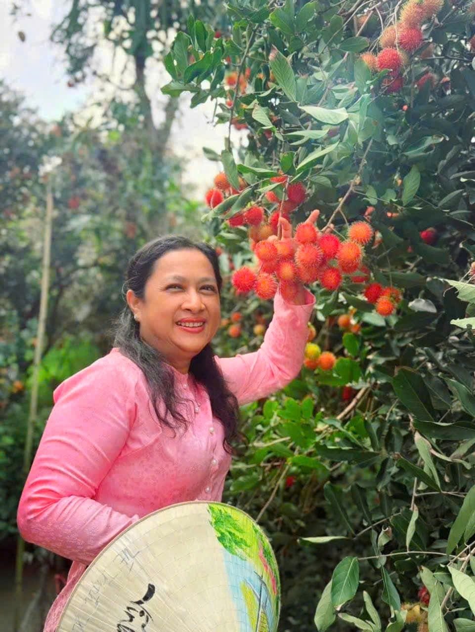 Mùa mưa về, vườn Chôm Chôm cũng bắt đầu đỏ rực!